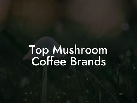 Top Mushroom Coffee Brands Mr Mushroom