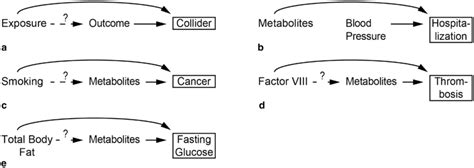 Causal Diagrams With Arrows Depicting Direction Of Causation Boxes