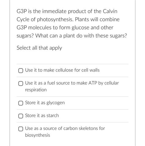 Solved G3p Is The Immediate Product Of The Calvin Cycle Of