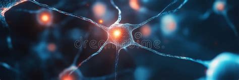 Glowing Neural Network Cells Firing Synapses Stock Photos - Free ...