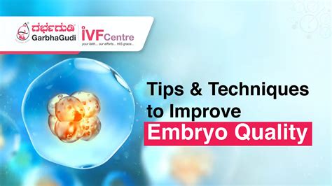 Improving Embryo Quality Tips And Techniques