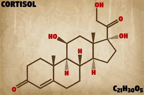 Vetores De Ilustração Detalhada Da Molécula De Cortisol E Mais Imagens