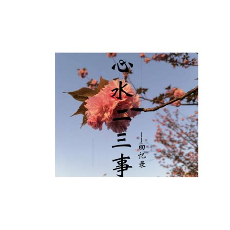 那些活着没能做的事情 知乎