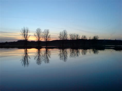 Free Images Landscape Tree Water Nature Horizon Marsh Light