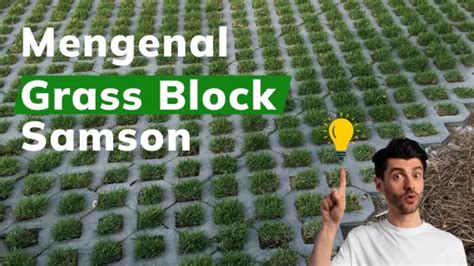 Mengenal Grass Block Paving Samson