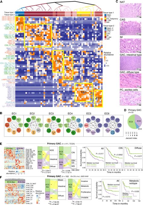 Cell子刊 基于单细胞转录组测序数据，揭示胃腺癌进展过程 小桔灯网 Iivd Net