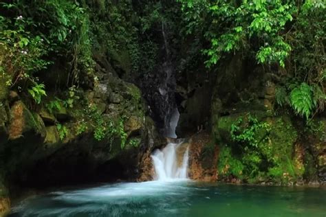 Eksotis Banget Ini Rekomendasi Wisata Air Terjun Di Bogor Yang Punya