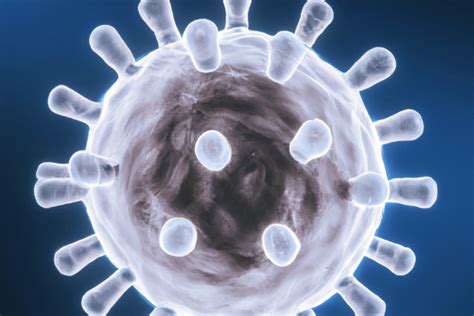 Oncolytic Viruses From Promise To Reality Lucidquest Ventures