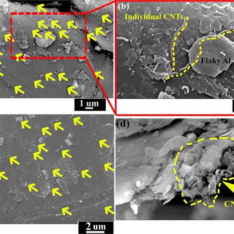 A Homogenous Distribution Of Cnts On Flaky Al Powder Surface By Lbl Download Scientific Diagram