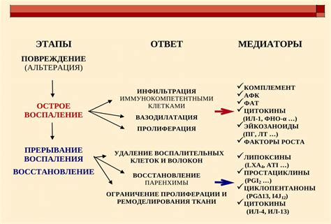 Презентация на тему: ПРОТИВОВОСПАЛИТЕЛЬНЫЕ