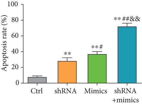 Idh2 Knockdown Exacerbates Mir 6734 5p Induced Oxidative Damage Ad