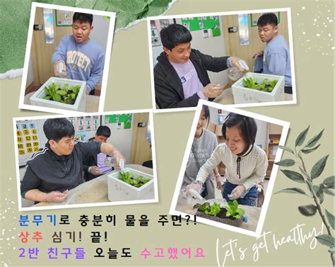 직업전환교육식물 가꾸기 식목일 맞이 상추 심기 열린마당