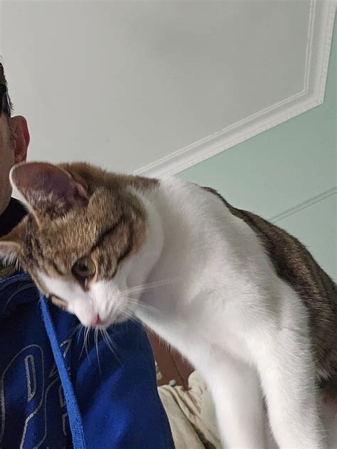 Kenneth Berkowitz Obituary 2024 West Newton Ma Brezniak Funeral Directors Newton