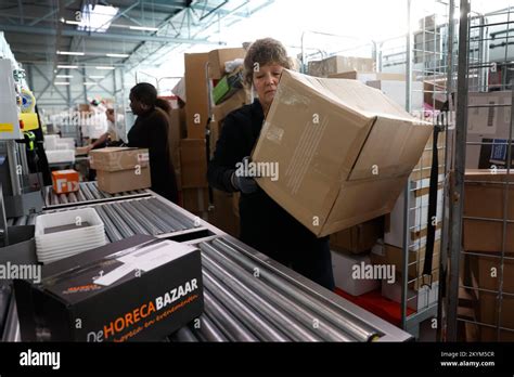 Westzaan Employees Of Postal And Parcel Delivery Company Postnl Sort