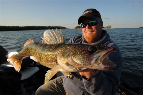 Summer Walleyes Target Walleye