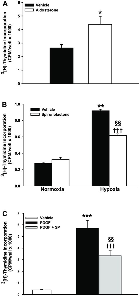 Assessment Of Pasmc Proliferation A Proliferation Of Distal Pasmc By