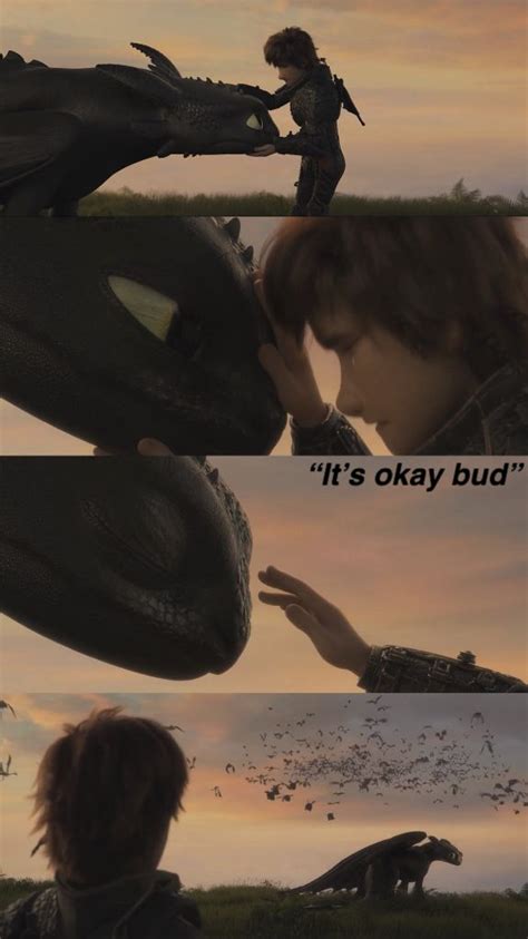 Httyd Toothless And Hiccups Goodbye Tandloos