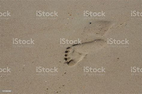 노란 해변 모래에 있는 한 남자의 발자국은 발자국을 씻어내고 물로 맨발로 걸어가며 물 밑으로 걸어간다 0명에 대한 스톡 사진 및