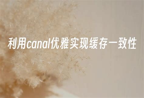 Spring Boot整合canal实现数据一致性解决方案解析 部署实战 阿里云开发者社区