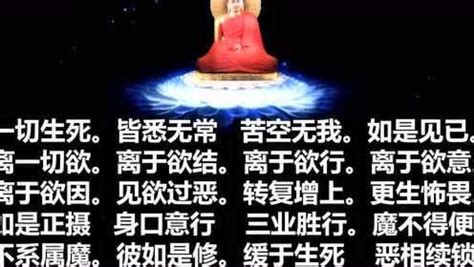 正法念处经13 腾讯视频