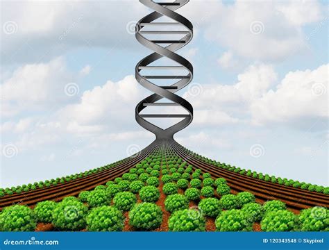 Gmo Farming Science Stock Illustration Illustration Of Pest 120343548