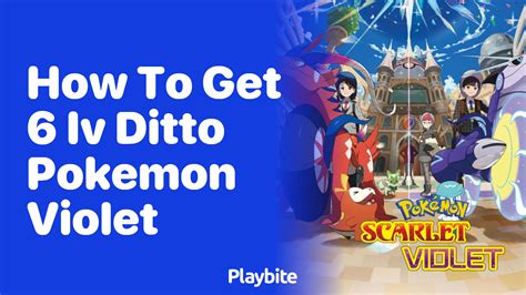 How To Get A 6 Iv Ditto In Pokémon Violet Playbite