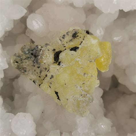 Brucite Rare Specimen High Quality Holding Crystal Mark Bajerski Pure Energy Healing Academy