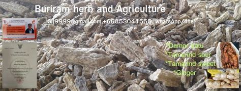 วัทธิกรสมุนไพร สั่งเมื่อวาน ได้รับของวันนี้ รวดเร็วทันใจสุดๆ ไปเลยค่าาา ยาหม่องกิโลผลิต