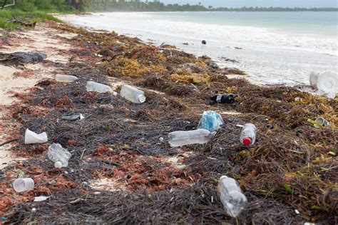 El drama de la reserva ecológica de Sian Kaan la joya en la Riviera Maya está ahogada por los