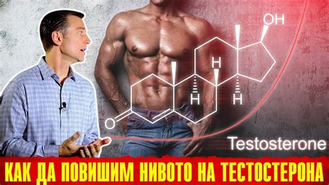КАК ДА ПОВИШИМ НИВОТО НА ТЕСТОСТЕРОН Ст Жеков Youtube