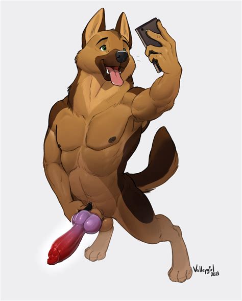 Rule 34 Animal Genitalia Animal Penis Anthro Balls Canid Canine