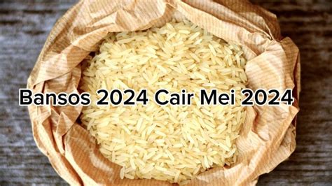 Daftar Bansos Yang Cair Di Bulan Mei 2024 Apa Saja Ada Bansos Beras 10