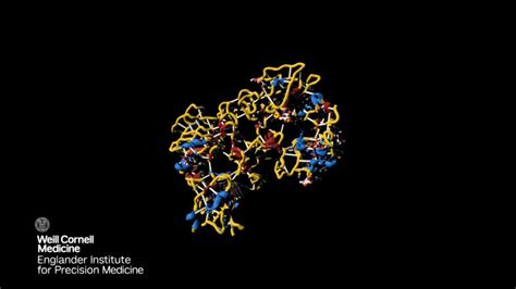 Protein Structure Pdb Id 1ivo Download Free 3d Model By Alexandros