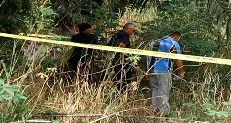 Car Thief Shot Dead After Reversing Into Police Car