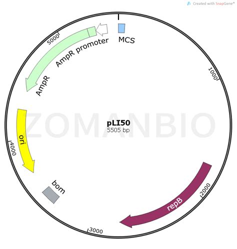 Pli50质粒 北京庄盟国际生物基因科技有限公司