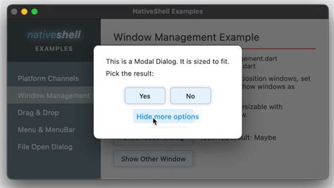 introducing flutter desktop application nativeshell flutter技巧