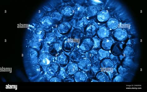 Cell Division Formation Of Morula And Embryo The Concept Of The Ovum