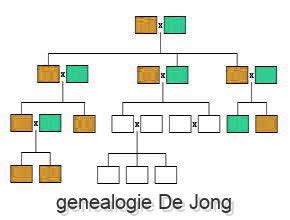 Stamboom De Jong Genealogie En Achternaam