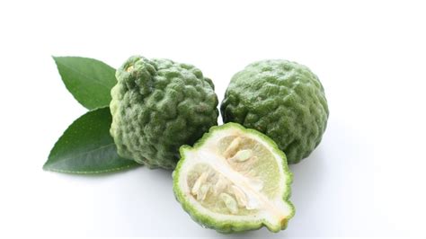 11 Types Of Limes And When To Use Them