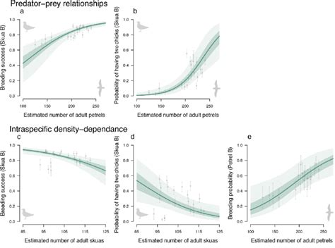 Effects Of Predator Prey Relationships Top Panels And Intraspecific Download Scientific