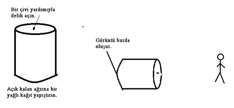 Fenokulu Net