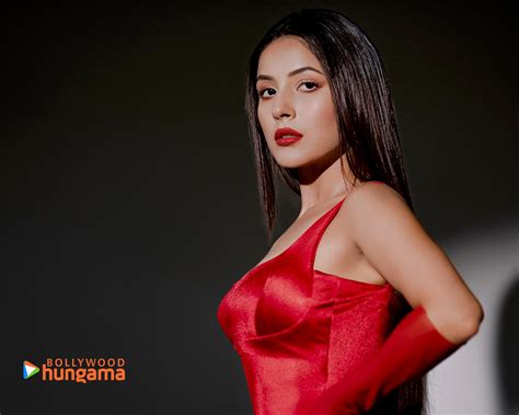 Shehnaaz Gill Wallpapers Shehnaaz Gill 5 22 Bollywood Hungama