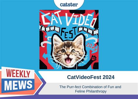 Oral Tumors In Cats Our Vet Explains The Causes Signs And Care Catster