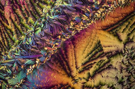Vitamin B3 Nicotinic Acid Polarised Light Micrograph Stock Image