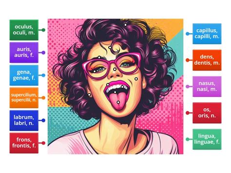 Facies Labelled Diagram