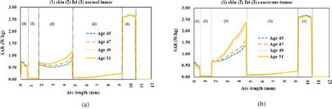 Sar Calculation In Different Age Group Of Breast Model Having A
