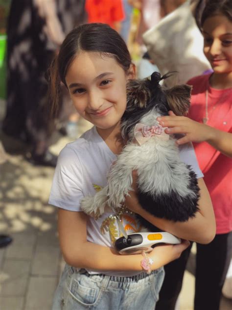 მწვანე სკოლა დიღმის მწვანე სკოლა დიღმის მასივი