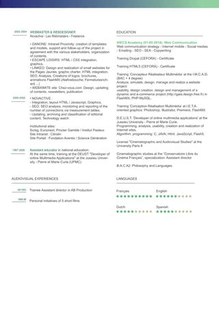 Cv Webmaster Webdesigner Communication Web Strategy Internet Mobile