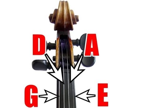 Violin String Names Violin String 2025 Names Violin String Names Violin String 2025 Names