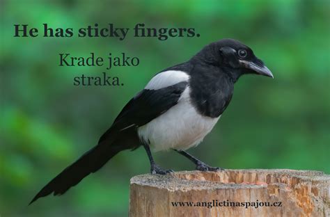 He has sticky fingers Obrázky Angličtina s Pájou